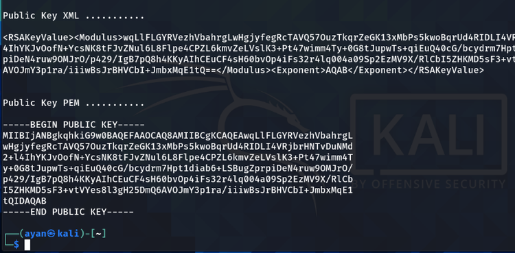 Empire C2 : Networking into the Dark Side