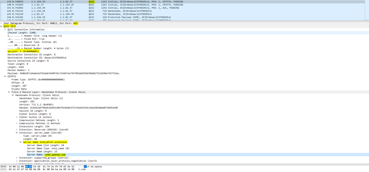 A Quick Look into ChatGPT's Network Traffic