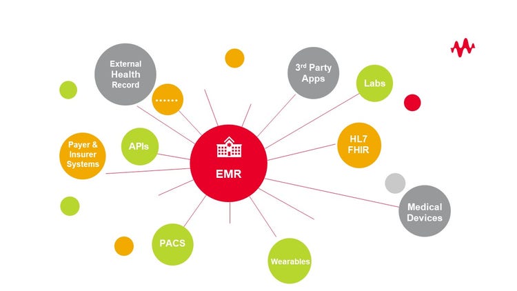 Catching FHIR: Healthcare Software Interoperability Challenges