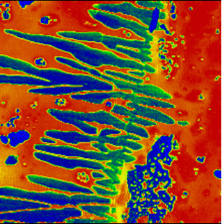 テクニカルサポート: N9418S 9500原子間力顕微鏡 (AFM) [Discontinued] | Keysight